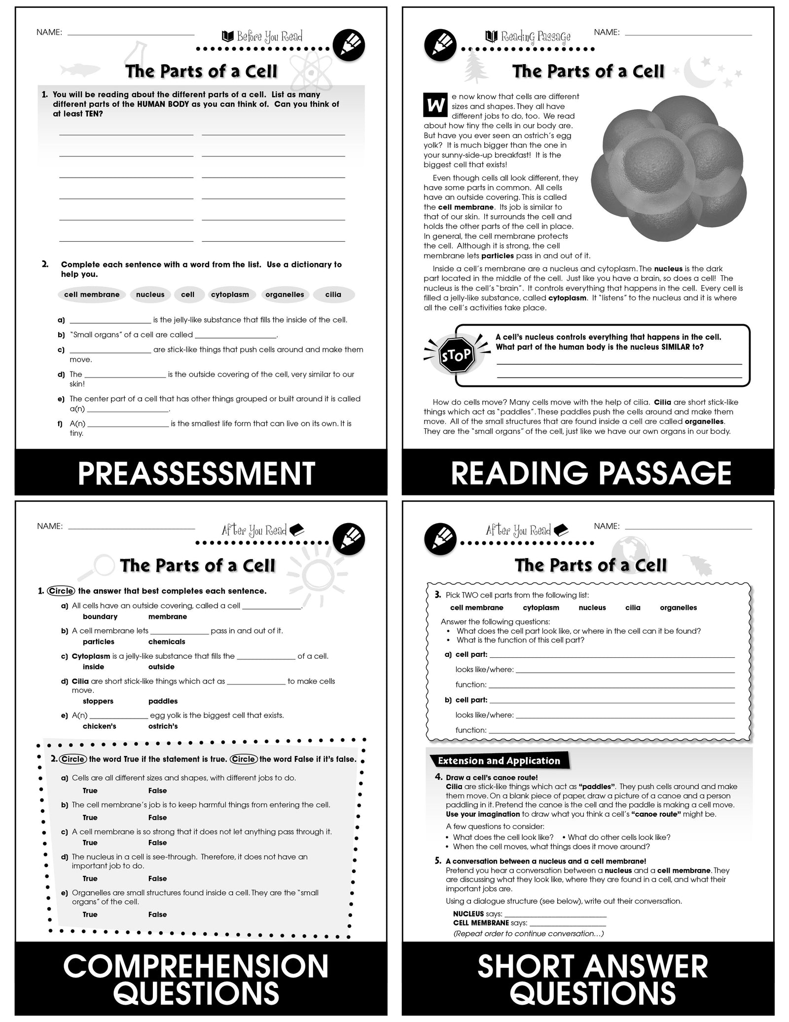 Cells – CLASSROOM COMPLETE PRESS