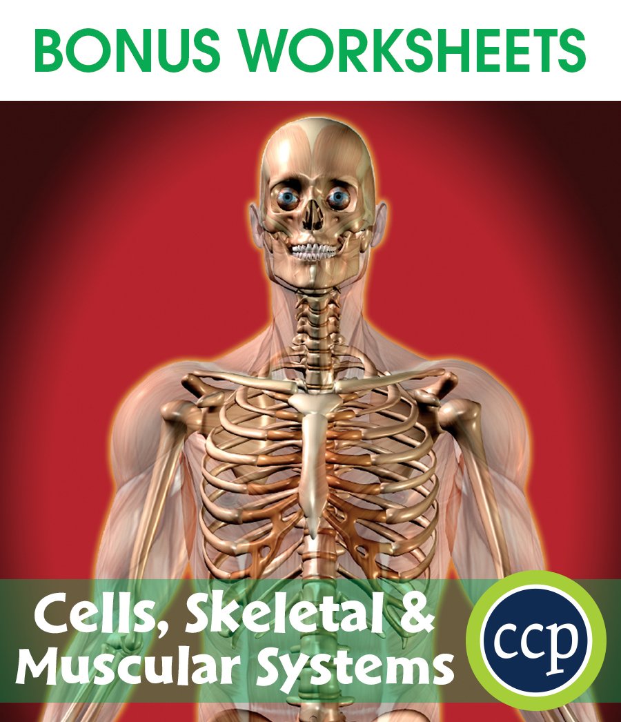 Skeletal Muscle Worksheets