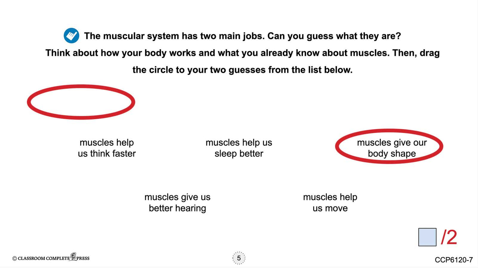Cells, Skeletal & Muscular Systems: The Muscular System – Muscles - Go ...